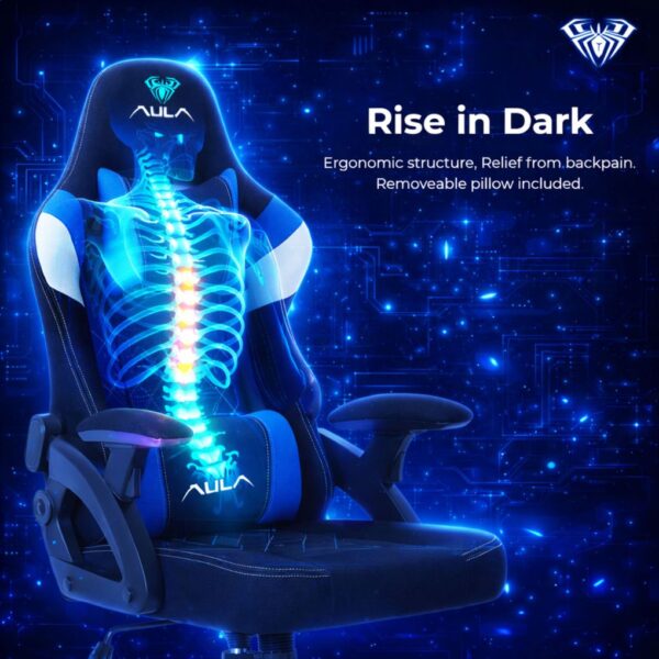 AULA F016 Ergonomic Premium Gaming & Computer Chair | Adjustable Nylon ...